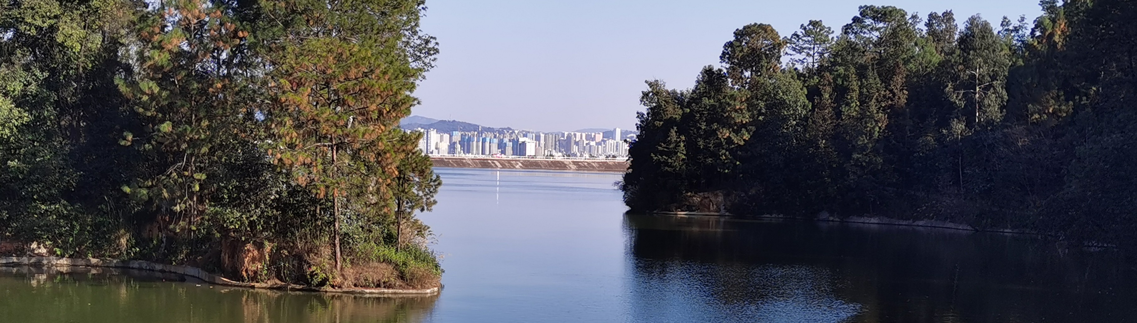 Xiao Cao | Xiao Cao’s Website